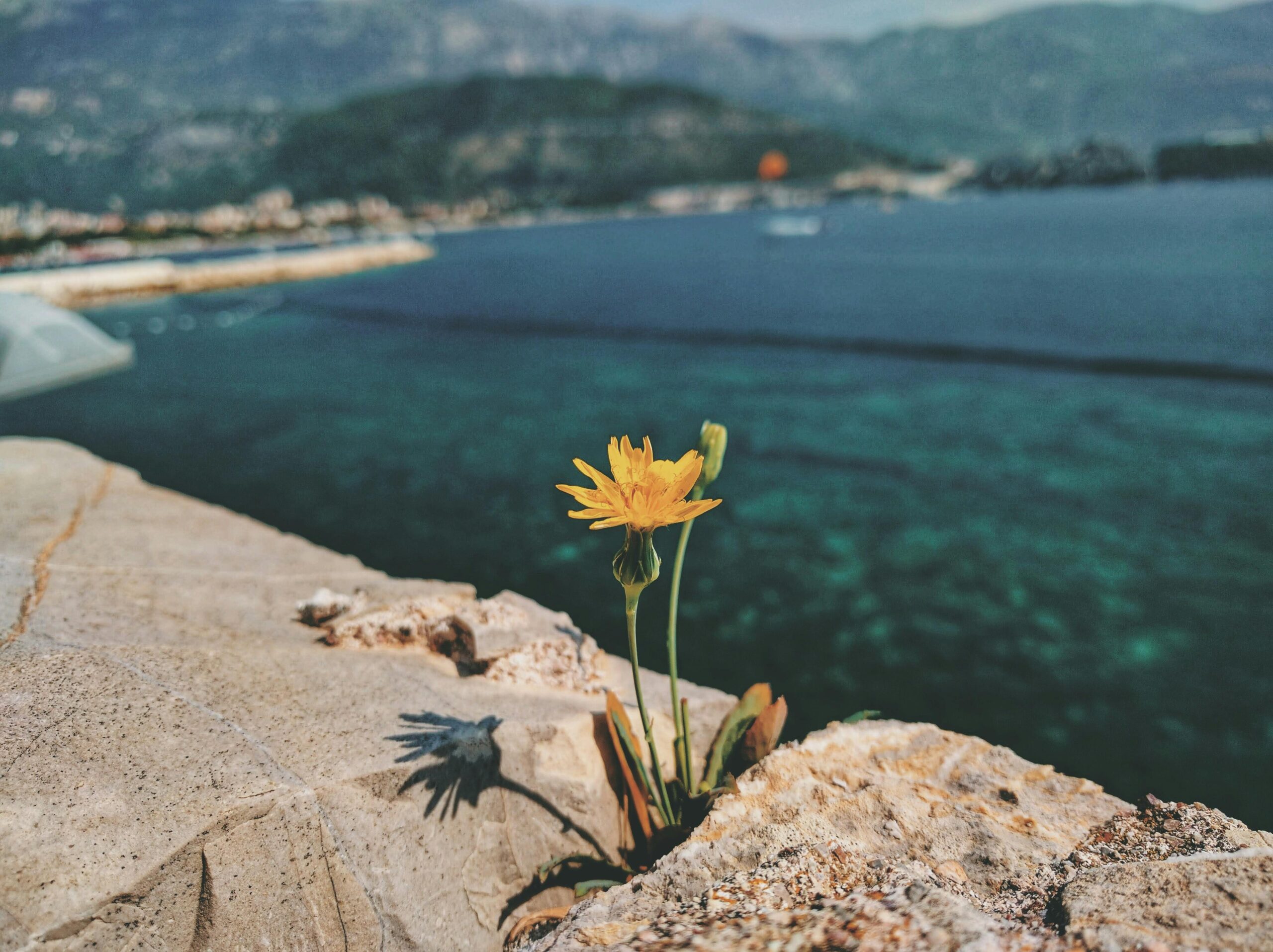 Poem: Just Keep Standing - MADELAINA ELIZABETH